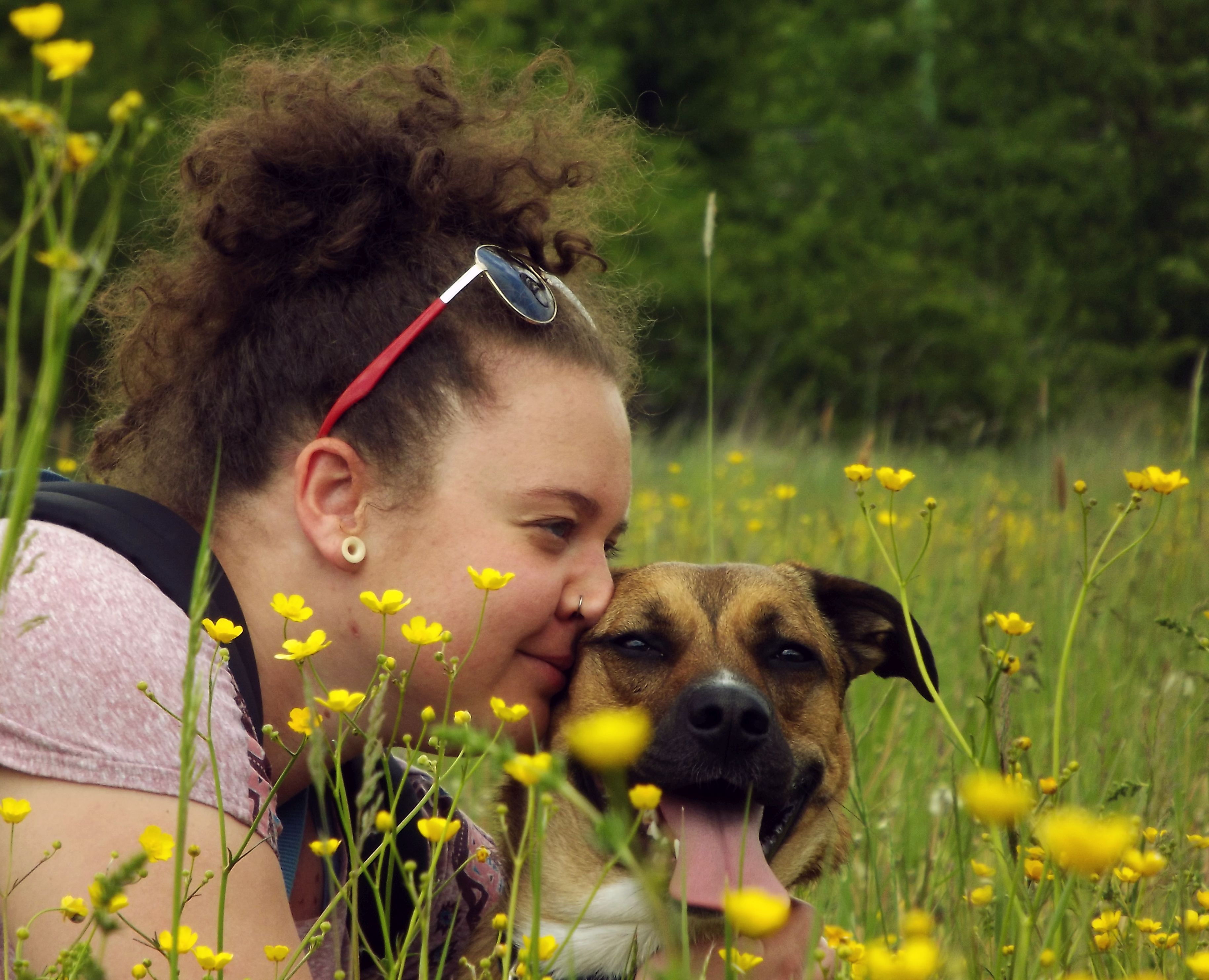 A Letter to My Dog, Rosie | My Dog in Rehab